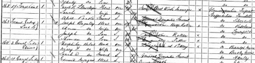 Battling with Census Returns – Sarah Pettyfer