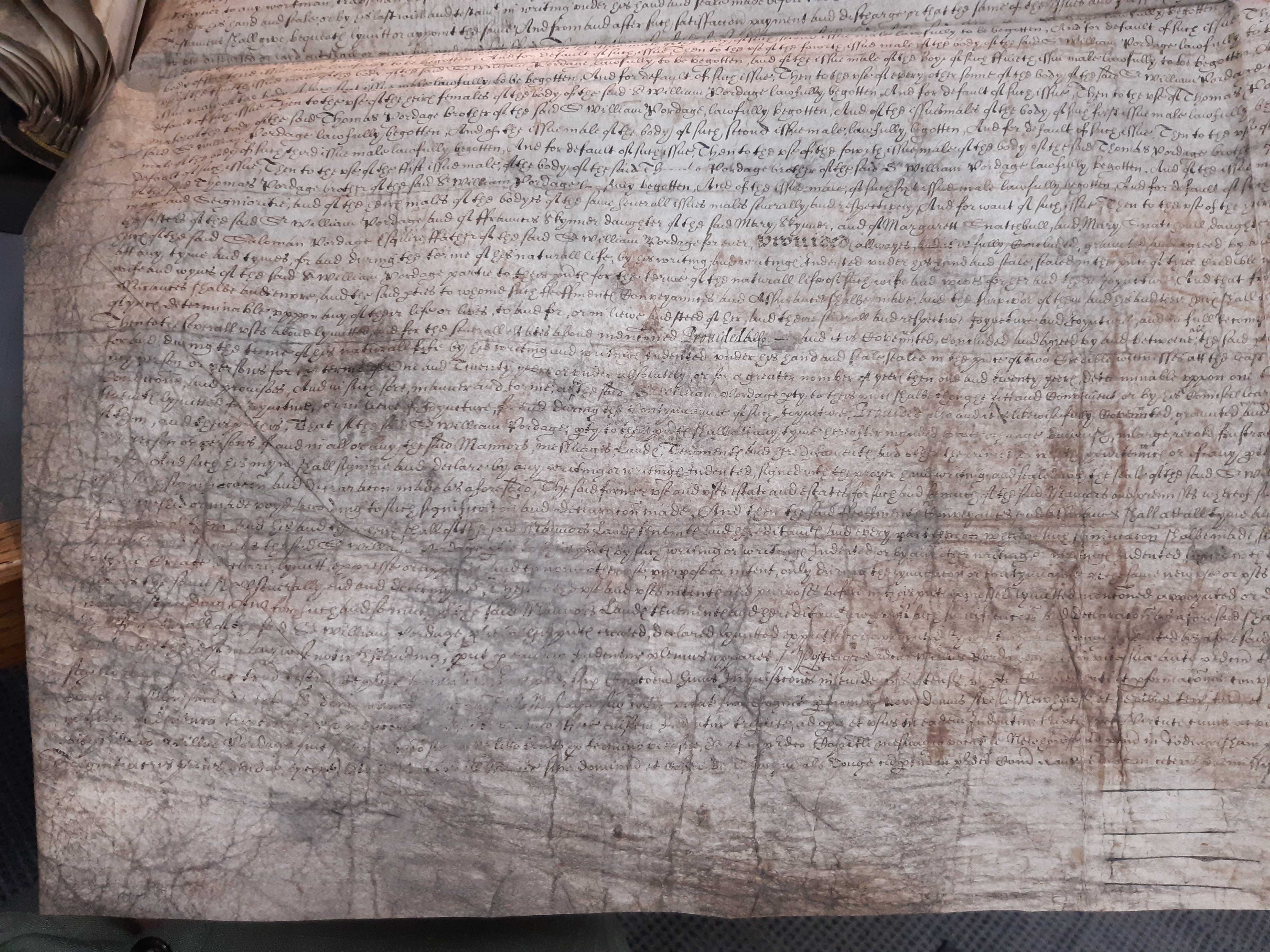 Tracing Family Connections in the Early Modern Period (1500–1600 ...